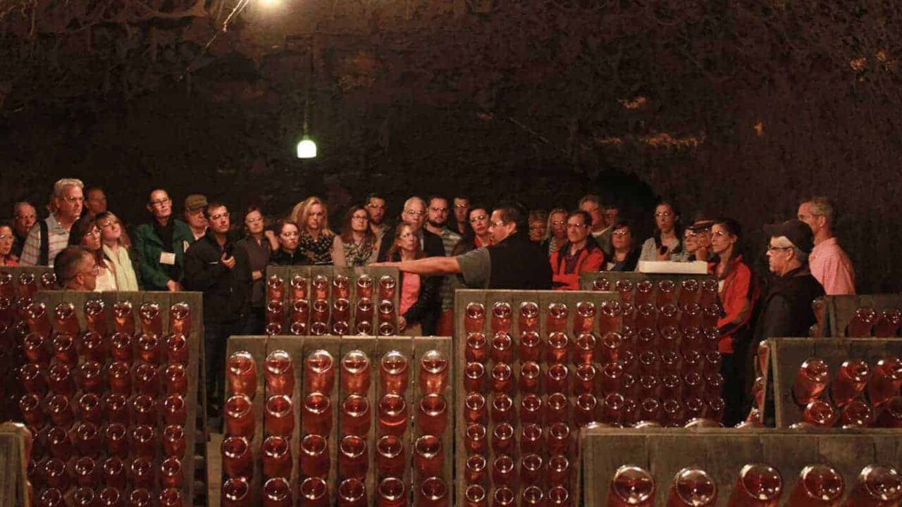 An Unparalleled Harvest Experience at Camp Schramsberg - Visit Calistoga